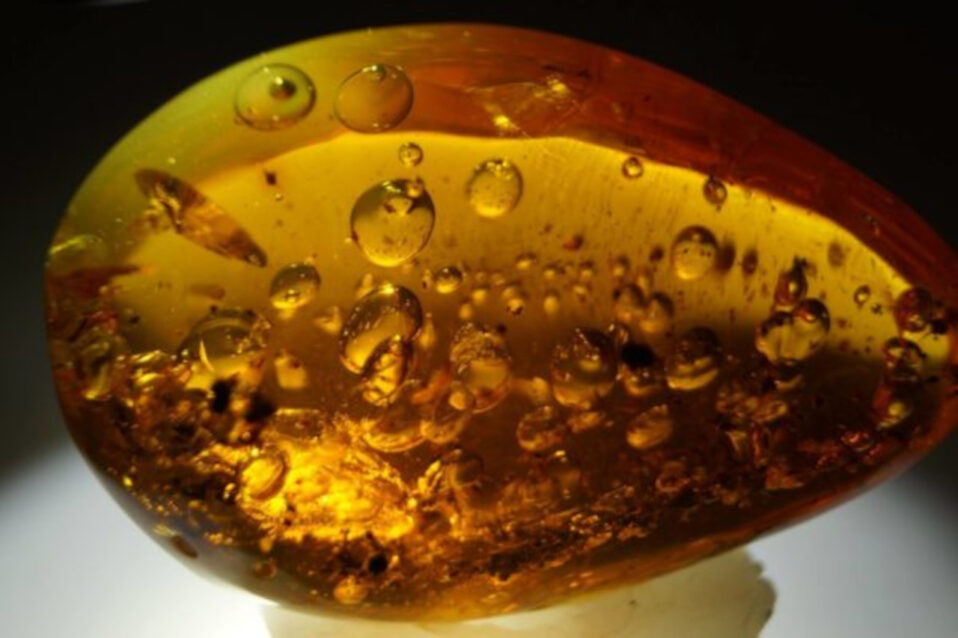 Inicio Conócenos Ámbar Contacto