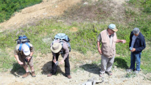 Inicio Conócenos Ámbar Contacto