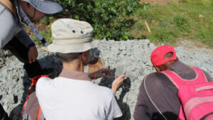 Inicio Conócenos Ámbar Contacto