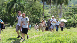 Inicio Conócenos Ámbar Contacto